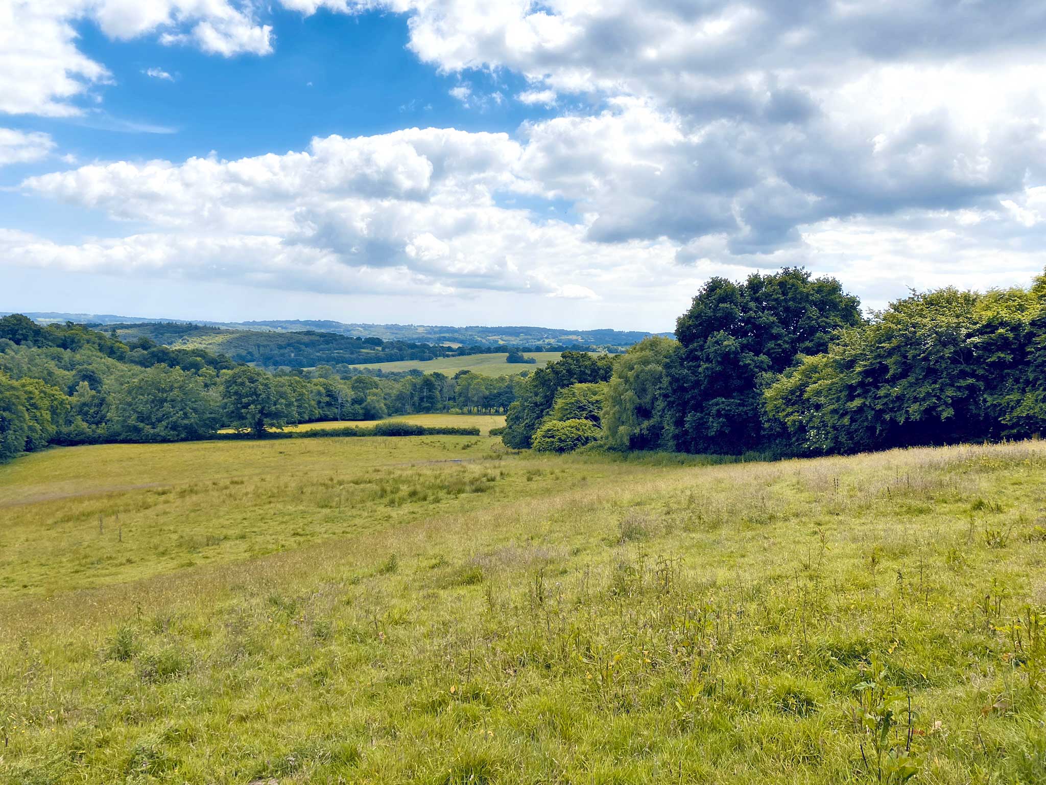 Deer Management Partnership | The Deer HUB – Game-changing Solutions